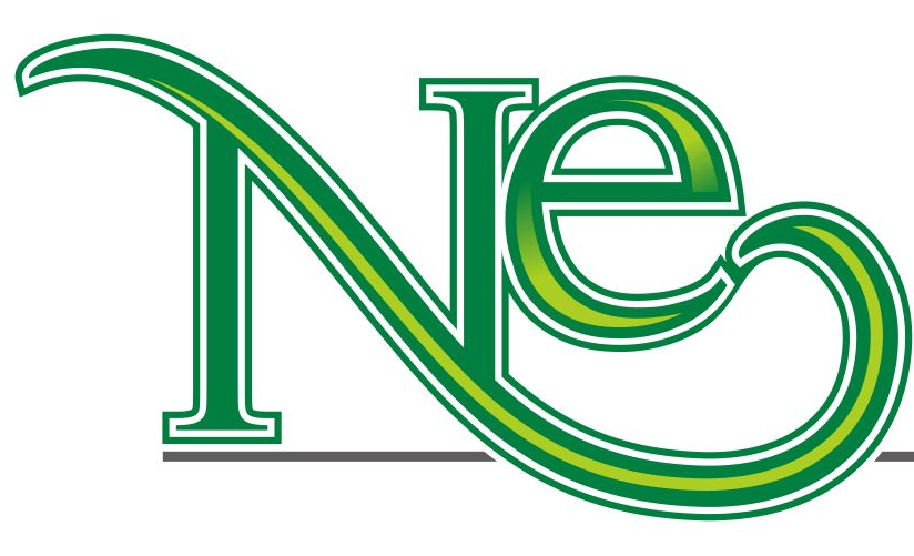 Niketan Ethnic Designs Online Store - Shop latest Niketan Ethnic ...