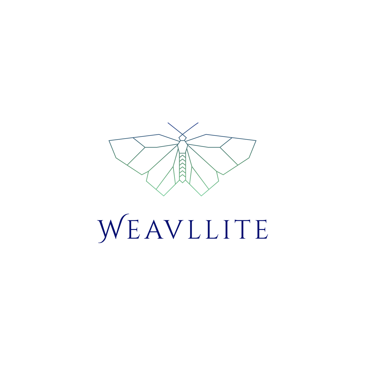 Weavllite Designs Online Store - Shop latest Weavllite Anarkali Salwar ...